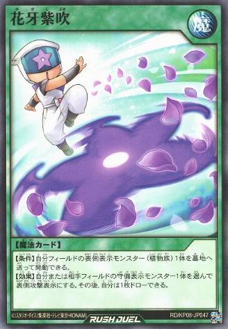 Shadow Flower Flurry (Spell Card) - Yu-Gi-Oh! Rush Duel Card Database