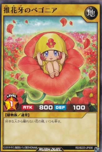 Begonia the Pressed Shadow Flower (Normal Monster) - Yu-Gi-Oh! Rush Duel Card Database